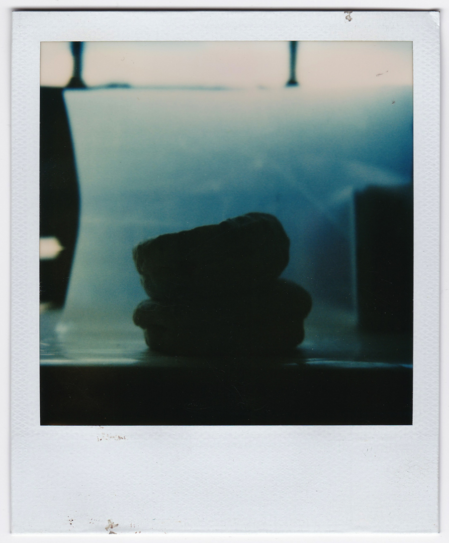 Polaroid